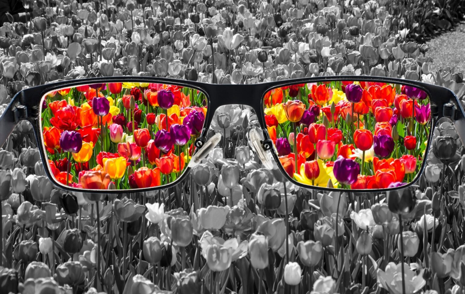 Can People Who Are Color Blind Drive? | Eye Care Plus, TX